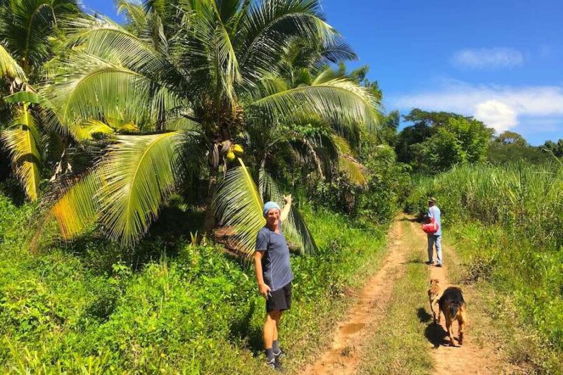 Jamaika Reisehinweise und Sicherheit. Ist Jamaika gefährlich?